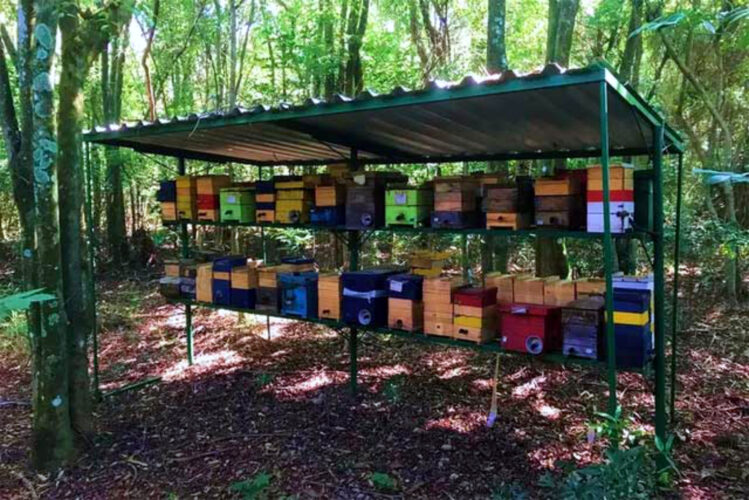 Penn State Extension to offer ‘Beekeeping Around the World’ webinar ...